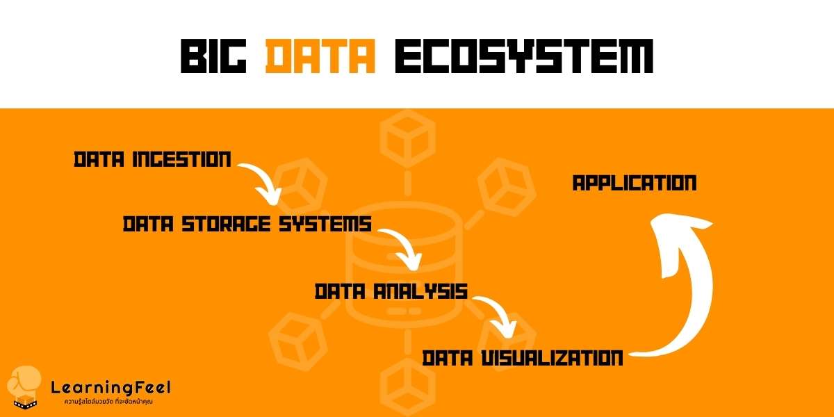 Big Data คืออะไร พาส่องทุกองค์ประกอบ ก้าวทันโลกยุคใหม่