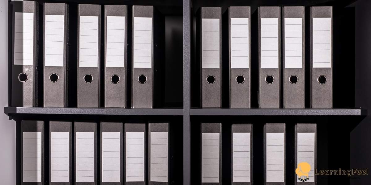 Classification คืออะไร เจาะลึกเทคนิคสำคัญกับงานสายข้อมูล