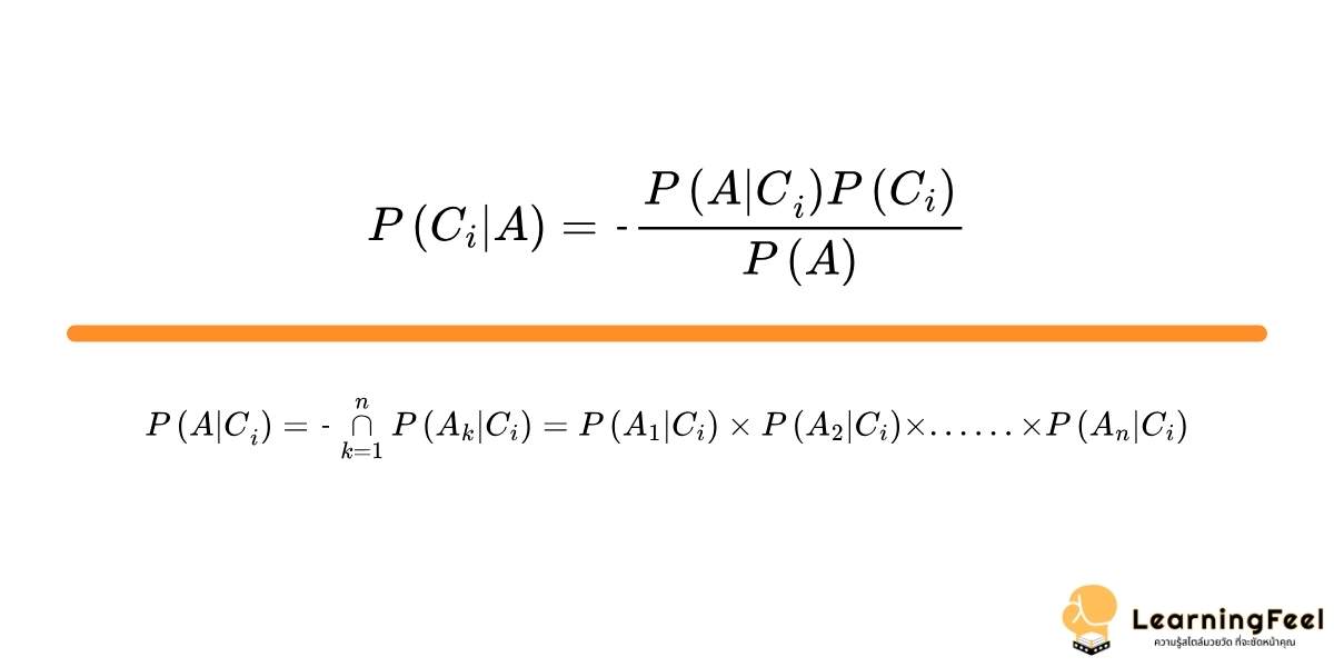 Classification คืออะไร เจาะลึกเทคนิคสำคัญกับงานสายข้อมูล